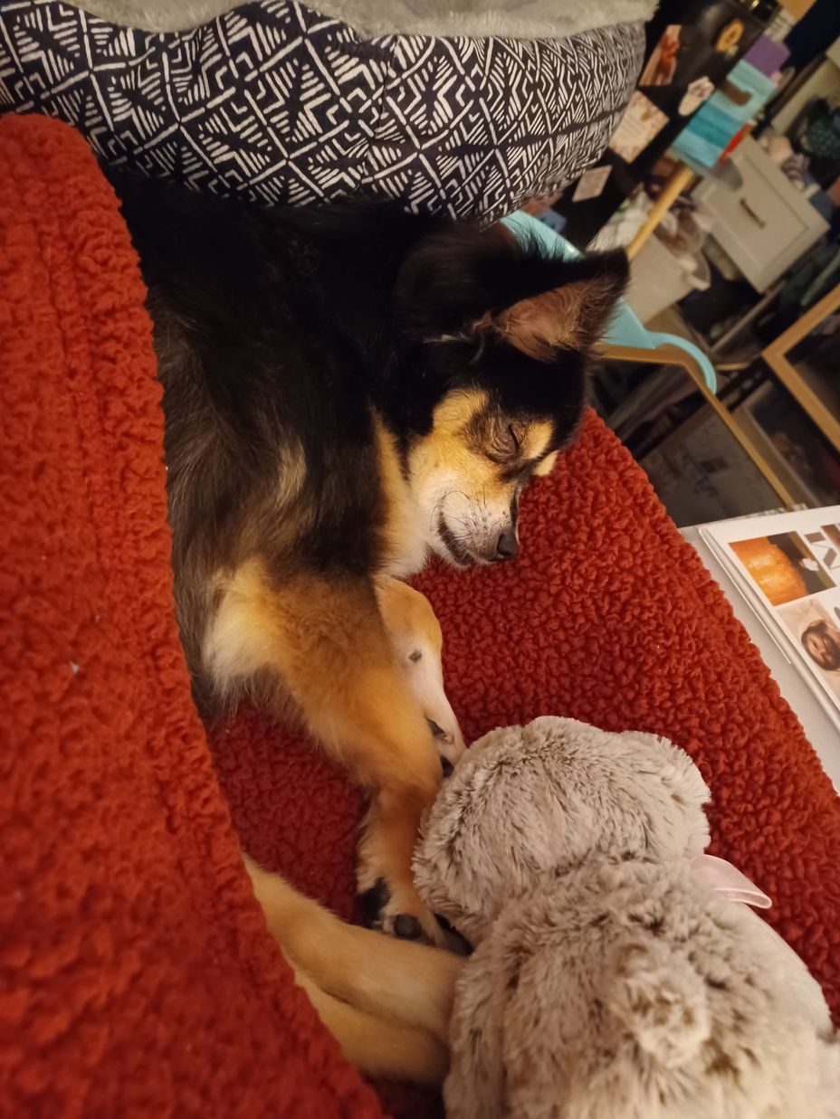 Distract Me | Signs, Symptoms, Support