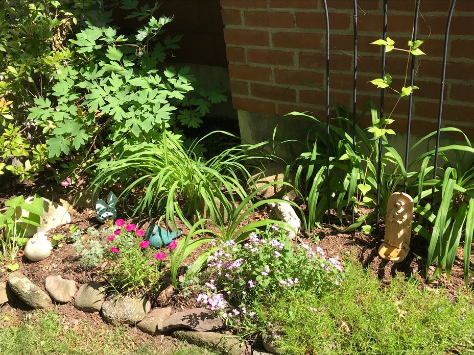 tranquility | Signs, Symptoms, Support