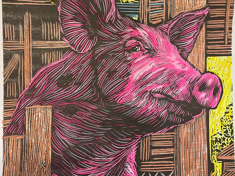 Distract Me | Signs, Symptoms, Support