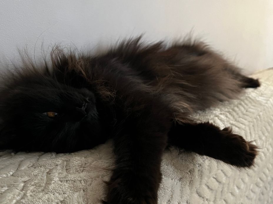 Inflammatory Bowel Disease (IBD) | Signs, Symptoms, Support