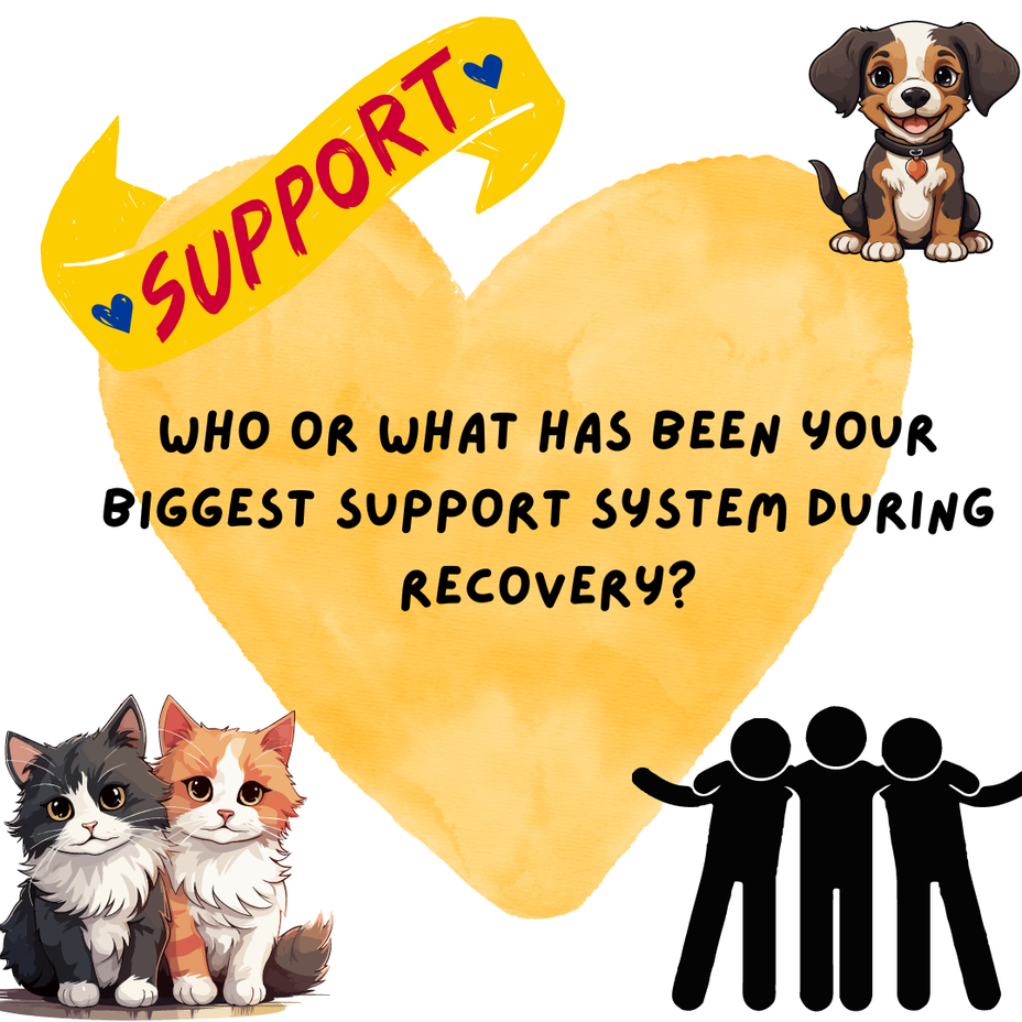 Recovery | Signs, Symptoms, Support